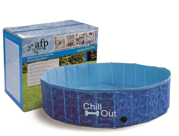 Chill Out Splash & Fun Pool